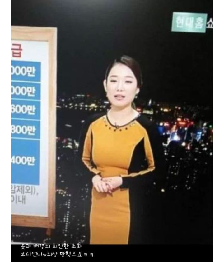 쇼호스트 복장참사 - 스카이파크