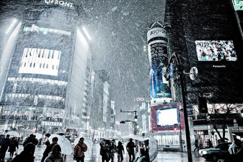 이제 겨울이네...곧.. - 스카이파크