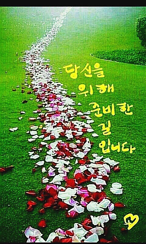 꽃길만걷자 - 스카이파크