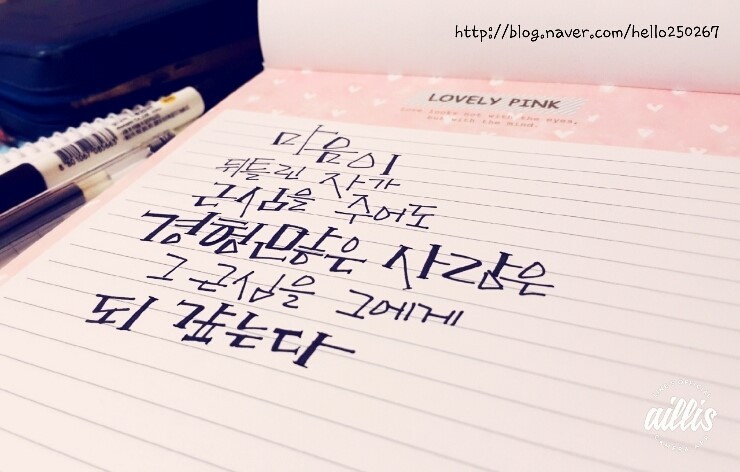 멋진말 - 스카이파크