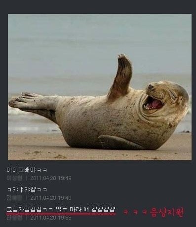 오늘하루도..즐겁게..웃어보아요.. - 스카이파크