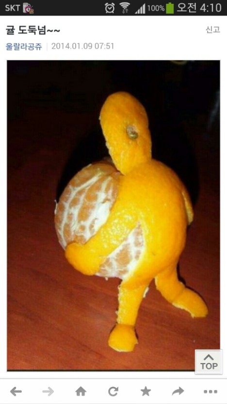 귤도둑..~~~♡♡♡♡ - 스카이파크