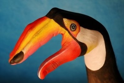 손앵무세..~~~♡♡♡ - 스카이파크