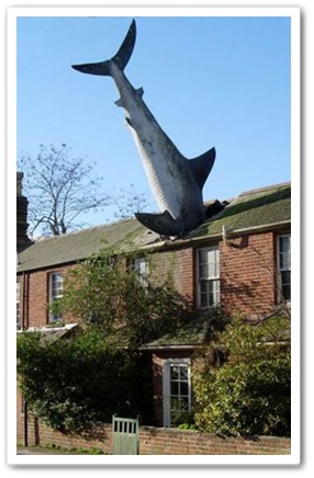 지붕에..박힌..상어..~~~♡♡♡ - 스카이파크