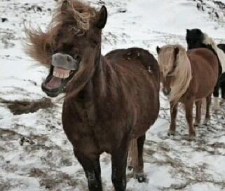 말의..웃음..~~~♡♡♡ - 스카이파크