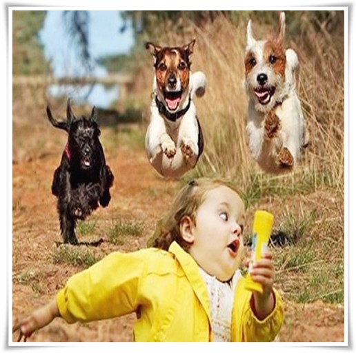 강아지의..반격..~~~♡♡♡ - 스카이파크