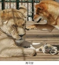 강아지의..하극상..~~~~♡♡♡ - 스카이파크