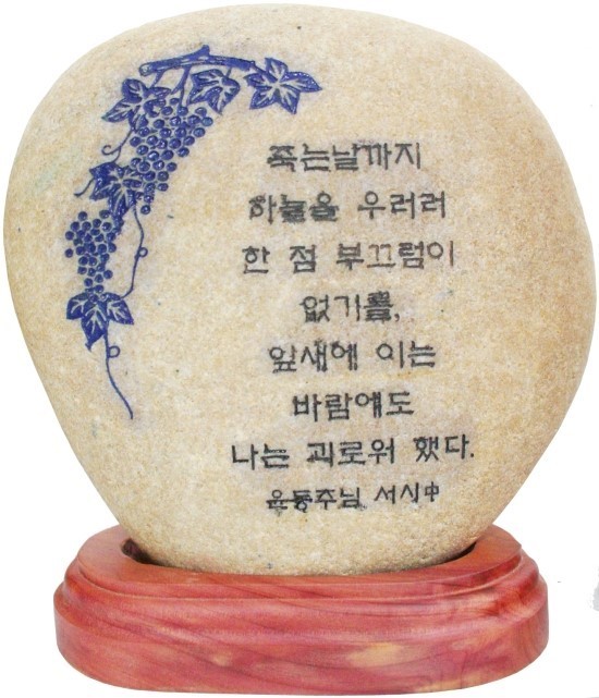 잘자그래이 - 스카이파크