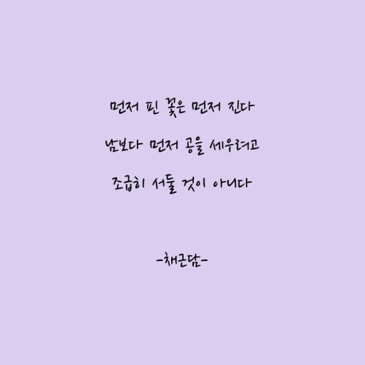 먼.남.조 - 스카이파크