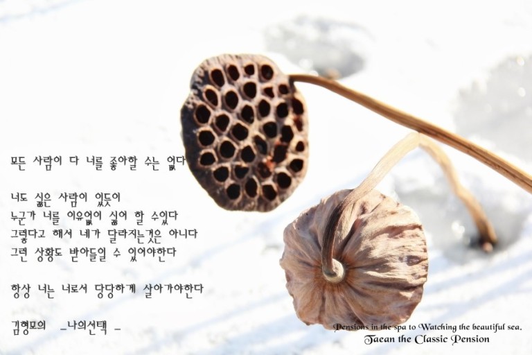 벌집 - 스카이파크