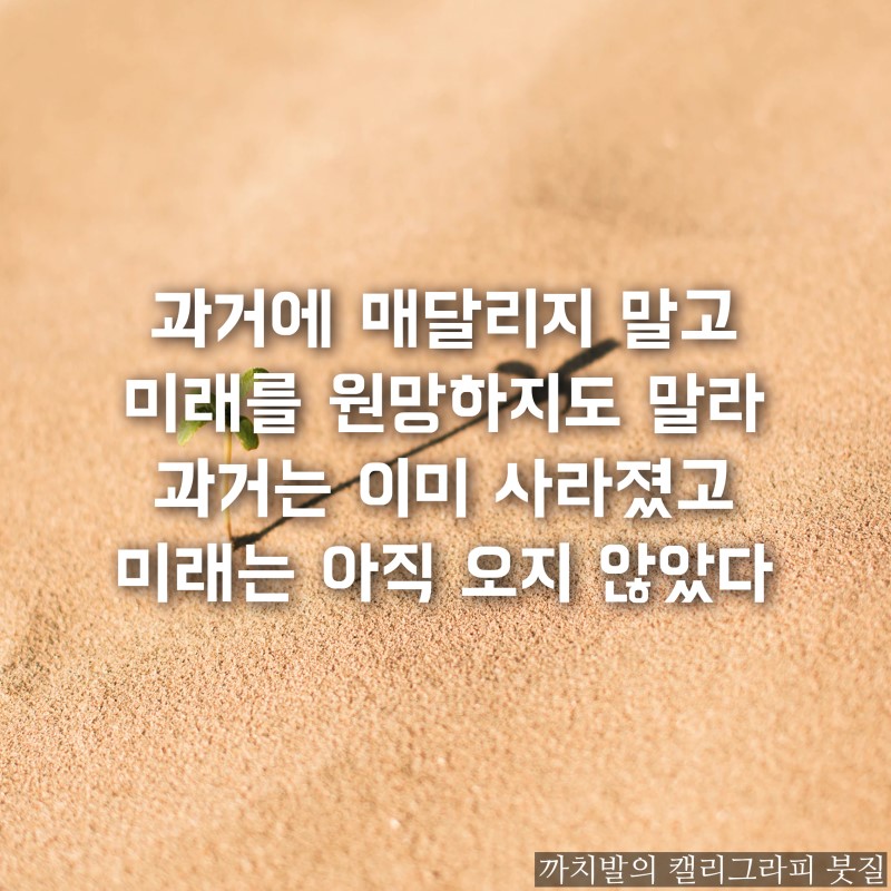 짧고 좋은 글귀 - 스카이파크