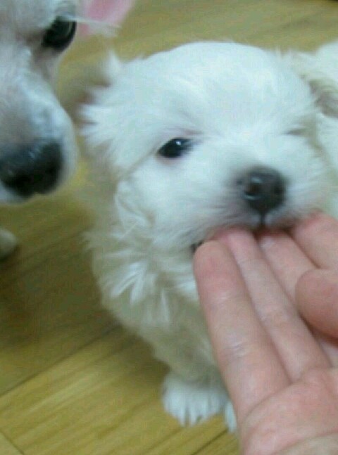 그건 먹는거 아니야 ㅋㅋㅋㅋㅋㅋㅋㅋㅋ - 스카이파크