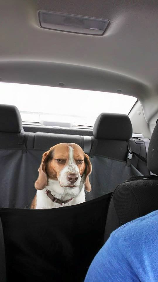 나 지금 진지하다.아무도 건들지마!!! - 스카이파크