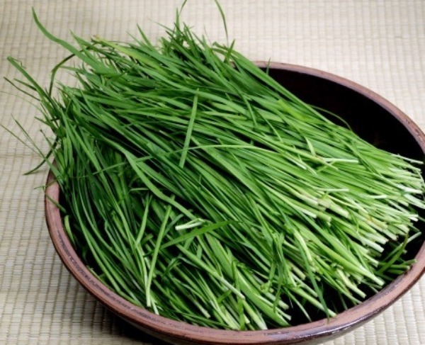 겨울철 감기에 특효인 죽과 탕,차 - 스카이파크